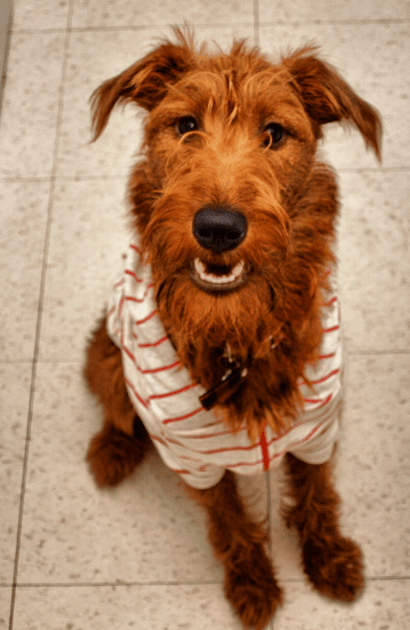 Modified Schmodified – blogsomemoore